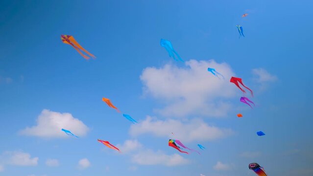 Kites Images – Browse 1,095,780 Stock Photos, Vectors, and Video ...