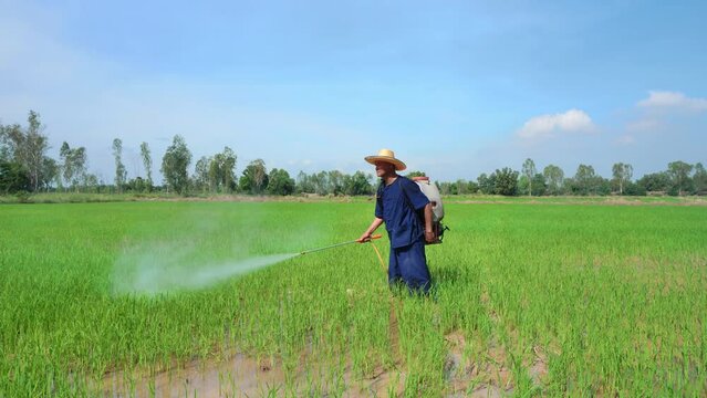 Liquid Fertilizer Images – Browse 232,492 Stock Photos, Vectors, and ...