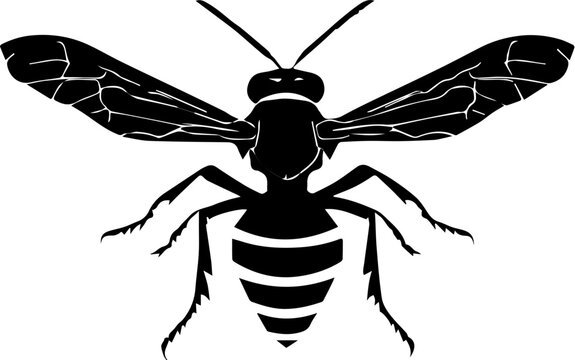 Animated Black And White Hornet