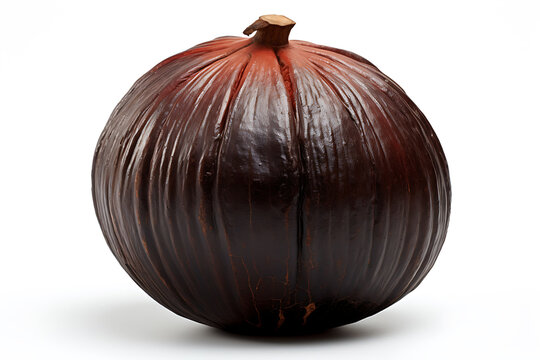 Coco-De-Mer Images – Browse 1,480 Stock Photos, Vectors, and Video ...