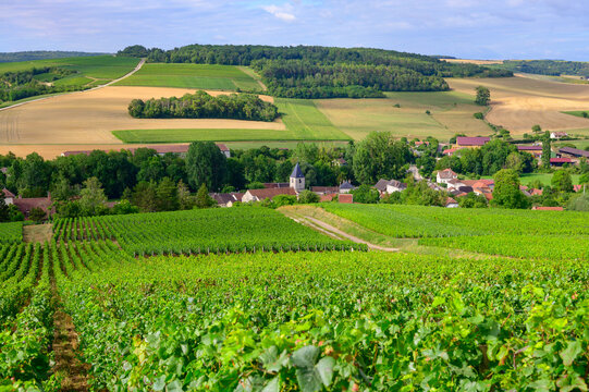 รูปภาพFarineux – เลือกดูภาพถ่ายสต็อก เวกเตอร์ และวิดีโอ1,433 | Adobe Stock