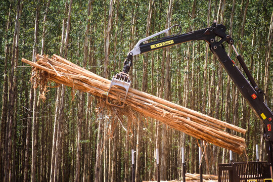"Logging Machine" Bilder – Durchsuchen 772 Archivfotos, Vektorgrafiken ...