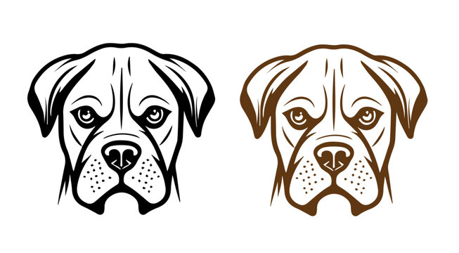 Boxer Dog Head Drawing