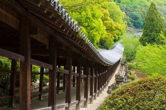 岡山市 Images – Browse 2,340 Stock Photos, Vectors, and Video | Adobe Stock