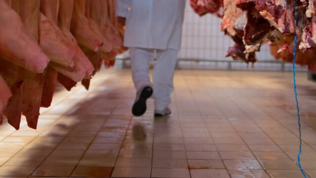 Fleischerei Images – Browse 5,091 Stock Photos, Vectors, and Video ...