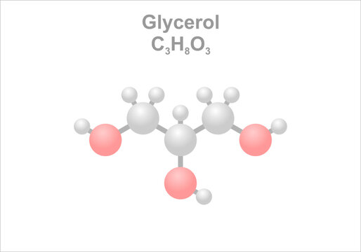Glycerol Molecule Size