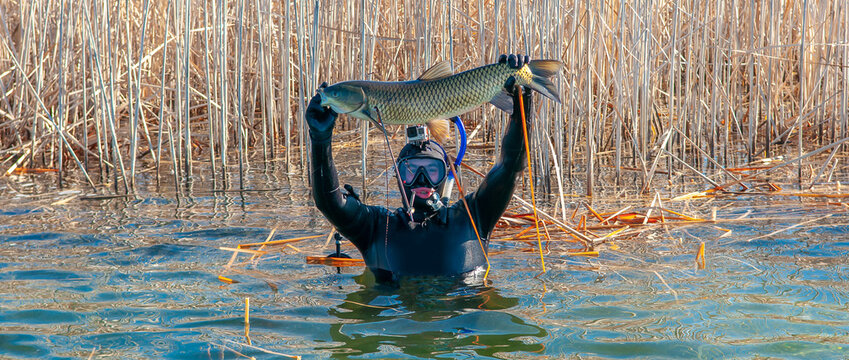 Harpooner Images – Browse 71 Stock Photos, Vectors, and Video | Adobe Stock