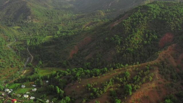 Shrubby Images – Browse 4,447 Stock Photos, Vectors, and Video | Adobe ...