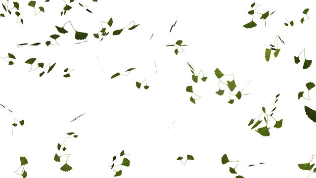 Falling Green Leaves Gif