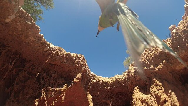 "Kgalagadi Transfrontier Park" Images – Browse 11,425 Stock Photos ...