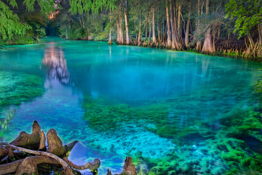 Guy Bryant photos, images, assets | Adobe Stock