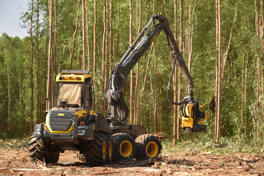 Logging Machines