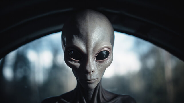 "Grey Alien" Bilder – Durchsuchen 57,422 Archivfotos, Vektorgrafiken ...
