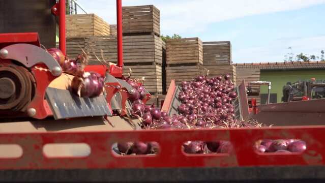 Post-Harvest Images – Browse 343 Stock Photos, Vectors, and Video ...