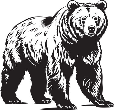 Grizzly Bear Clipart Black And White