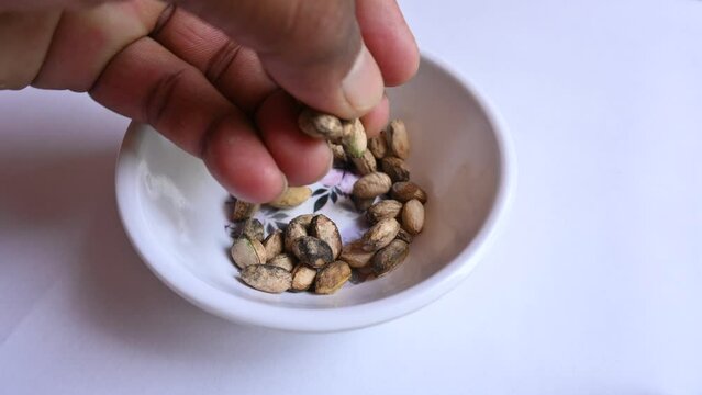 "Indian Lilac" Images – Browse 19,027 Stock Photos, Vectors, and Video ...