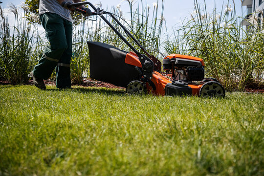 รูปภาพGrass-Cutter – เลือกดูภาพถ่ายสต็อก เวกเตอร์ และวิดีโอ3,938 ...