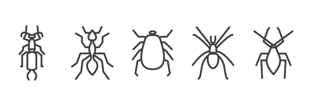 Insect Symbol Images – Browse 305,058 Stock Photos, Vectors, and Video ...