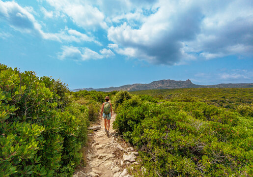 Fazzio Images – Browse 35 Stock Photos, Vectors, and Video | Adobe Stock