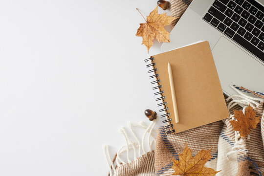 Snugness Images – Browse 1,849 Stock Photos, Vectors, and Video | Adobe ...