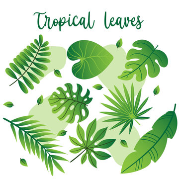 Dewi photos, images, assets | Adobe Stock