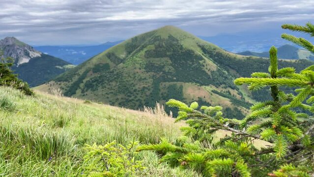 Fatra Video Footage – Browse 321 HD Stock Video and Footage | Adobe Stock