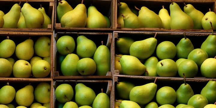 "Williams Pears" Images – Browse 257 Stock Photos, Vectors, and Video ...