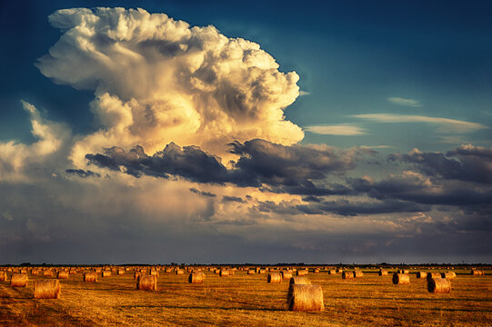 「Cumulon」の写真素材 | 95件の無料イラスト画像 | Adobe Stock