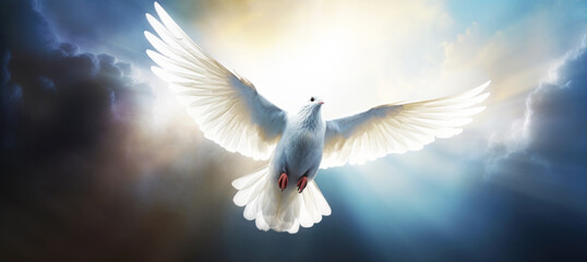 15+ Free Bird Symbol Of Peace Images - Pikwizard