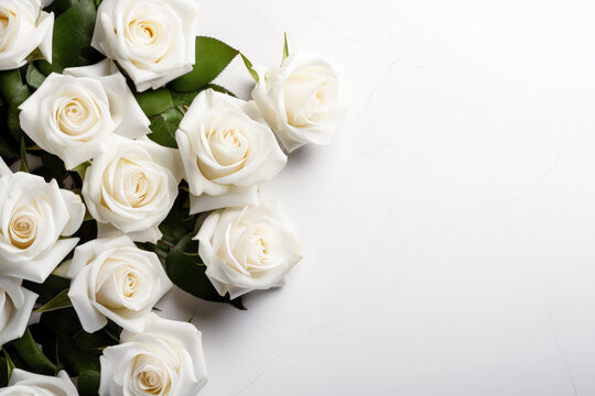 "White Roses" Images – Parcourir 8,839 le catalogue de photos, vecteurs ...