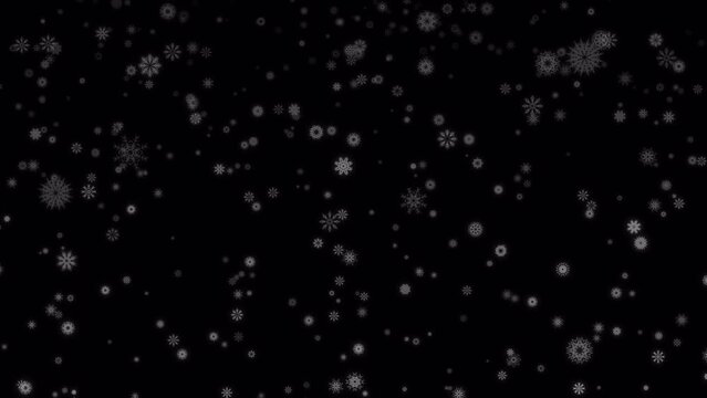 Falling Snowflake Photography