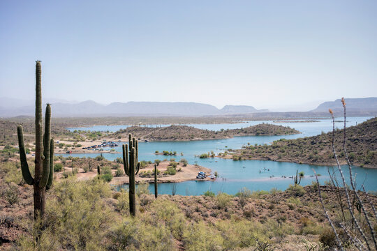 «Cavan Images» — фотографии, изображения, ресурсы | Adobe Stock