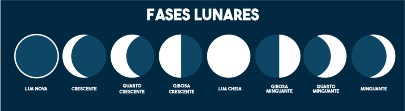 「Quarto」の写真素材 | 7,372件の無料イラスト画像 | Adobe Stock