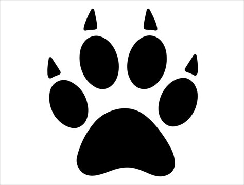 Wildcats Paw Print