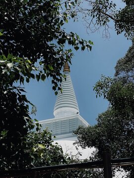 Chaithya Images – Browse 66 Stock Photos, Vectors, and Video | Adobe Stock