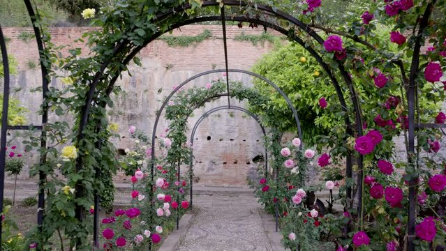 Generalife Images – Browse 5,707 Stock Photos, Vectors, and Video ...