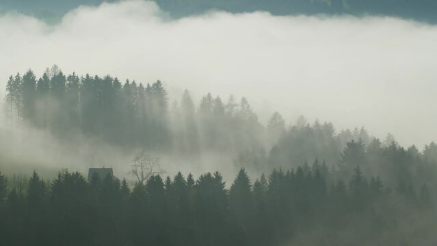 รูปภาพNebelig – เลือกดูภาพถ่ายสต็อก เวกเตอร์ และวิดีโอ14,118 | Adobe Stock