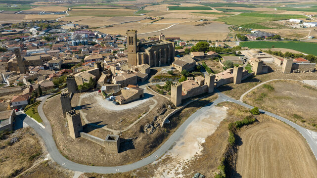 Cercus-Bilder: Stock-Fotos & -Videos. | Adobe Stock