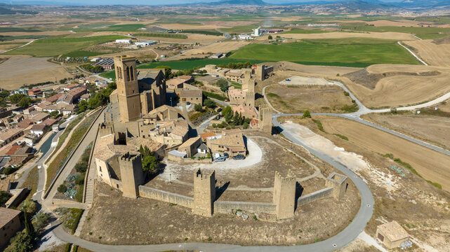 Cercus Bilder – Durchsuchen 998 Archivfotos, Vektorgrafiken und Videos ...