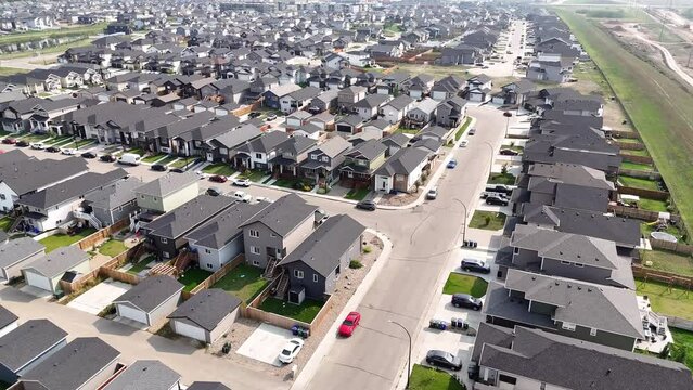 Burgeoning Images – Browse 46,082 Stock Photos, Vectors, and Video ...