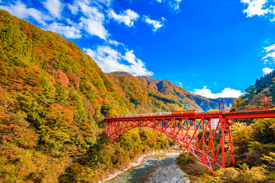 "Electric Multiple Unit"-Bilder: Stock-Fotos & -Videos. | Adobe Stock