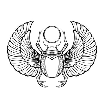 Scarab Drawing