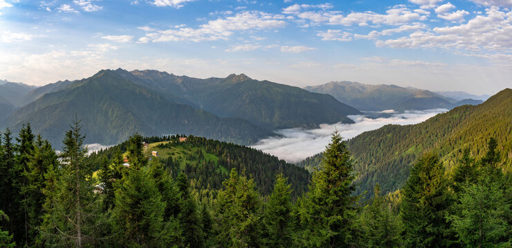 รูปภาพRized – เลือกดูภาพถ่ายสต็อก เวกเตอร์ และวิดีโอ16,546 | Adobe Stock