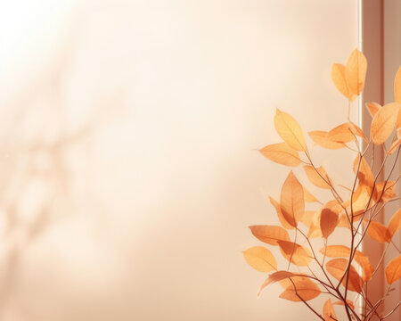 Gentle Background Images – Browse 5,395,378 Stock Photos, Vectors, and ...