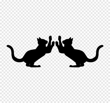 "Cat Fight" Images – Browse 1,448 Stock Photos, Vectors, and Video ...