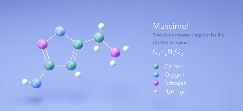 Muscimol Images – Browse 1,502 Stock Photos, Vectors, and Video | Adobe ...