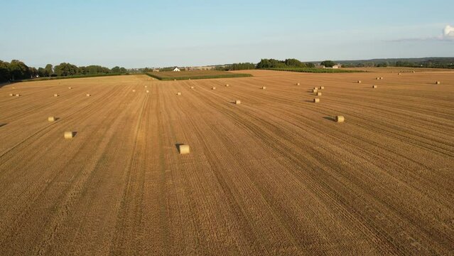 "Hay Making" Imagens – Procure 1,936 fotos, vetores e vídeos | Adobe Stock