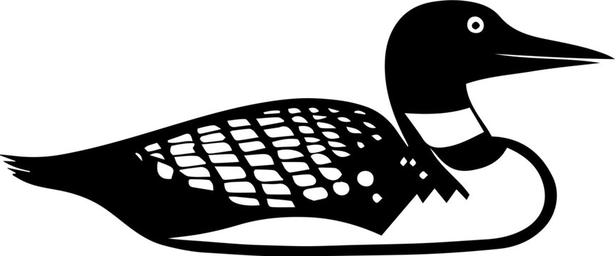 "Common Loon"-Bilder: Stock-Fotos & -Videos. | Adobe Stock