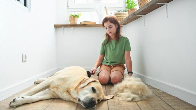 Undercoat Images – Browse 34,703 Stock Photos, Vectors, and Video ...