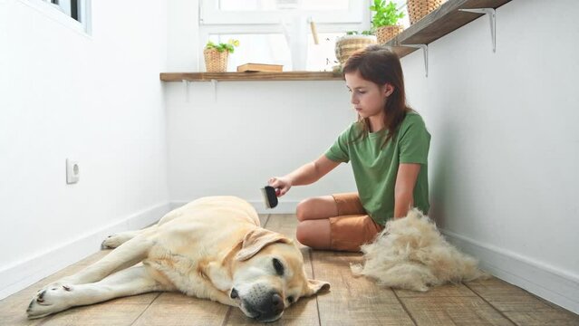 Undercoat Images – Browse 34,703 Stock Photos, Vectors, and Video ...